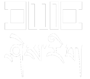 BHUTAN HIGHER SECONDARY EDUCATION CERTIFICATE (BHSEC) 2024 EXAMINATION ...